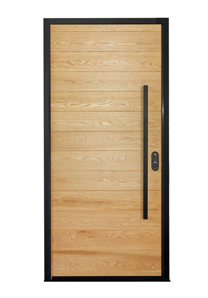 Modern Entry Doors