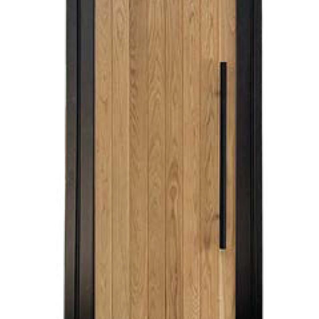 Modern Entry Doors