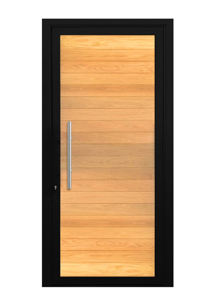 Modern Entry Doors